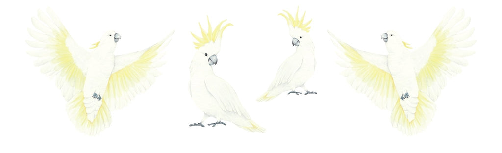 Cockatoo Decal Set – Ginger Monkey